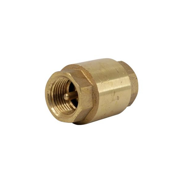 22mm Brass Spring Check Valve CxC