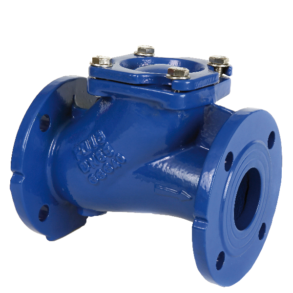 300mm ART172 Ductile Iron Ball Check Valve BSPP FxF PN16 Flanged Ends