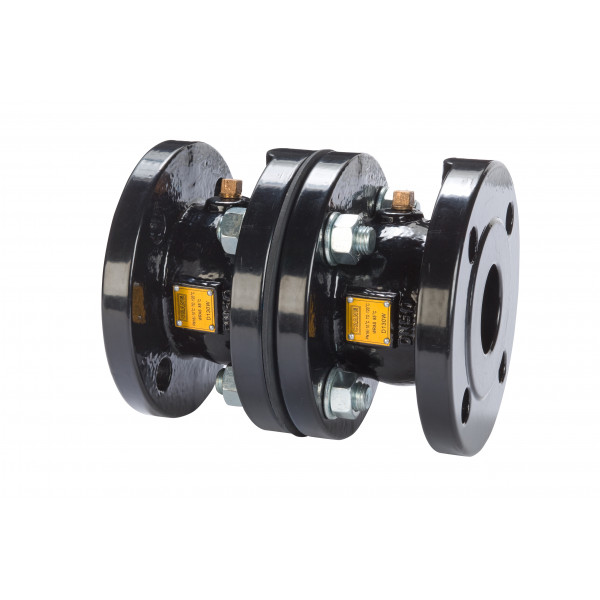 65mm D230W Cast Iron Double Check Valve PN16 Flanged