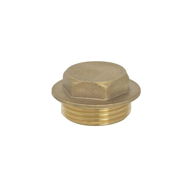 1/4" Brass Flanged Plug